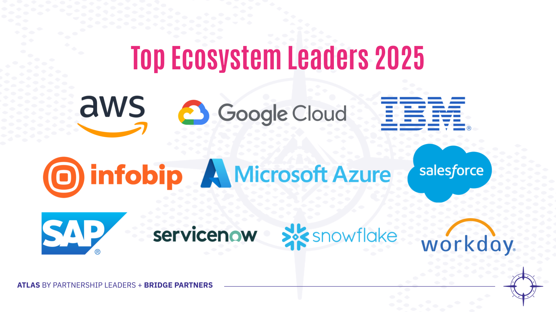 【Partner Compass Report 2025】| Partnership Leaders